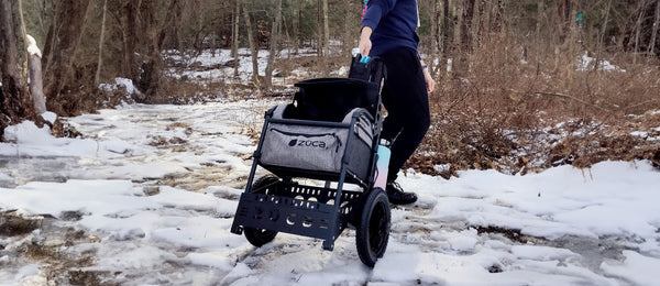 Transit Disc Golf Cart Black | Shop ZÜCA Bags